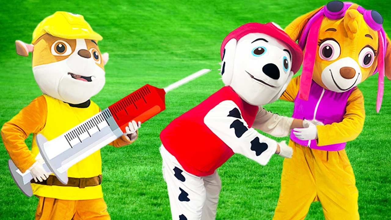 Stop, Rubble & Skye, Don't Hurt Marshall, He Is Sick | Paw Patrol Funny ...