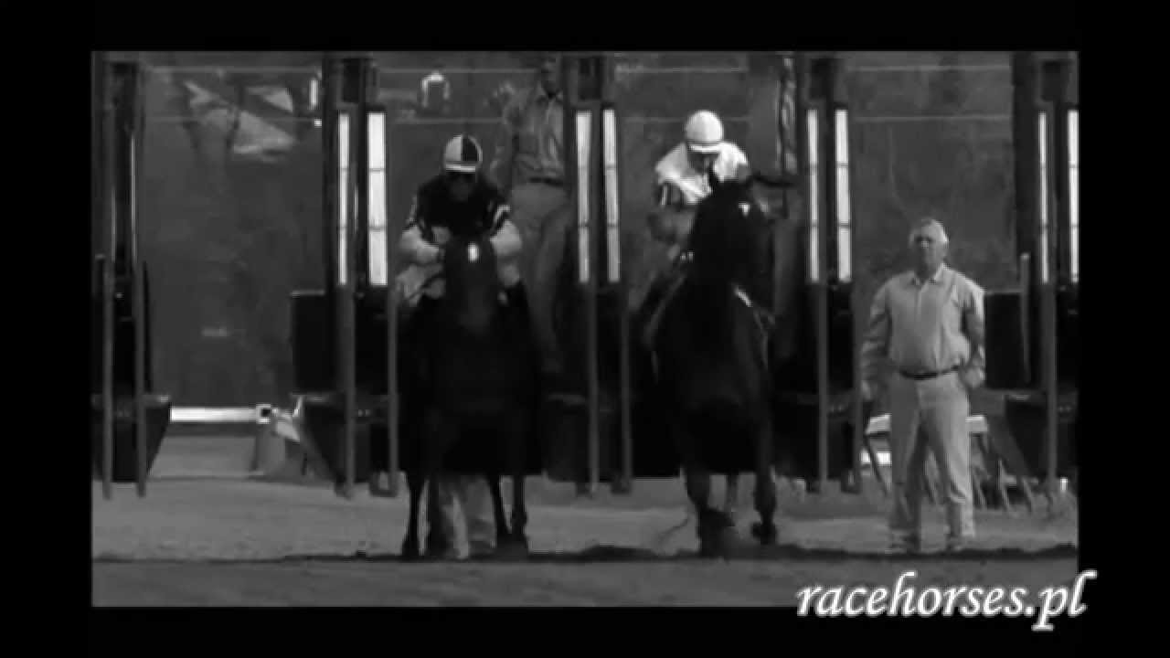 The best mare - Ruffian - YouTube