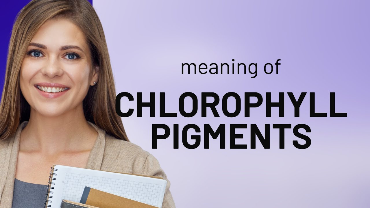 Understanding Chlorophyll Pigments: The Secret Behind Plant Green - YouTube