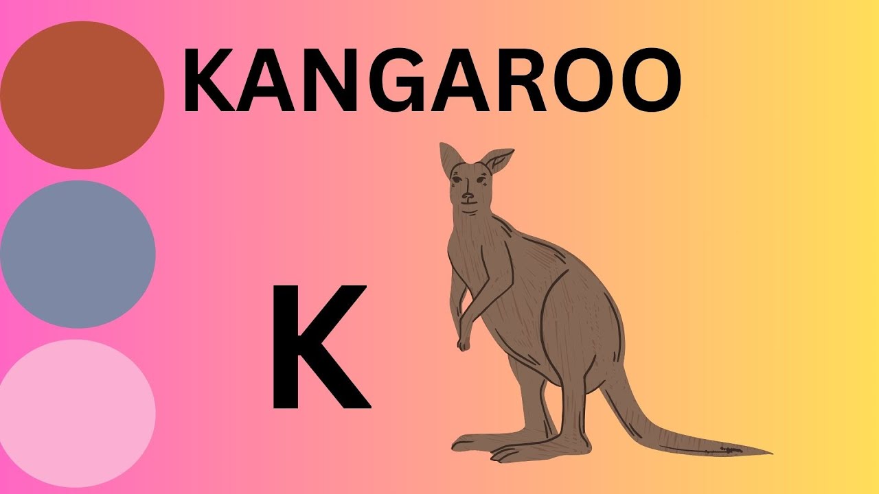 K for kangaroo ABC.CARTOONS FOR KIDS - YouTube