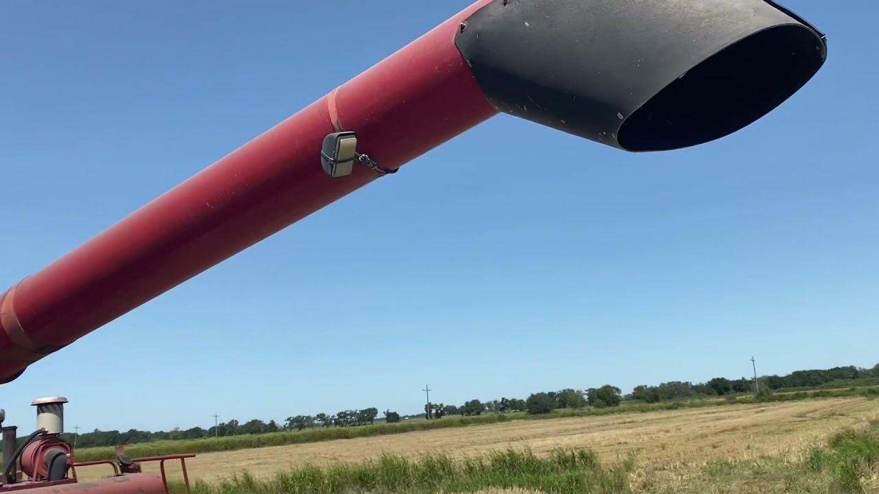 2021 Louisiana Rice Harvest - YouTube