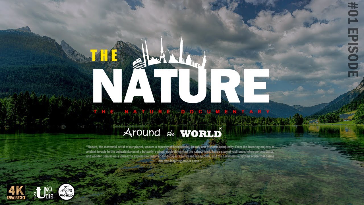 The beauty of nature 🌿 in about 2 minutes | Relaxation Nature 🌿 ...