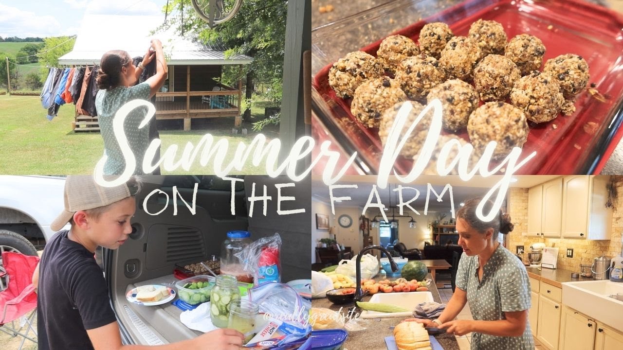 A Busy Summer Day in the Life on the Homestead - YouTube