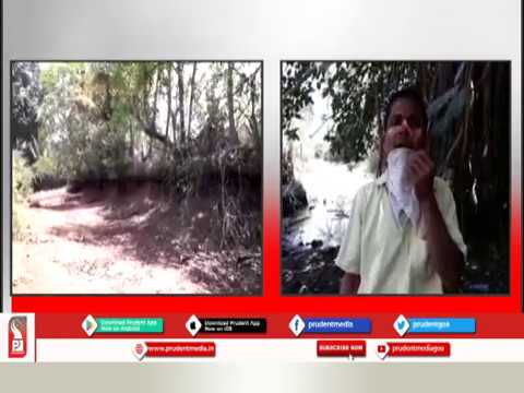MANDREM RIVER ‘THIRSTY’ BEFORE SUMMER_Prudent Media Goa - YouTube