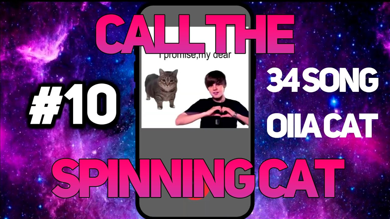 34 SONG! Call the cat OIIA OIIA (Spinning cat) - YouTube