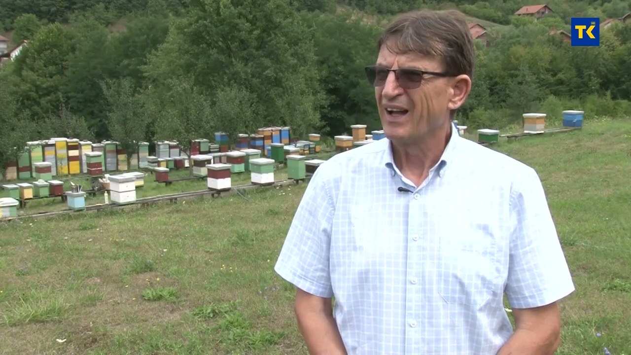 August je mjesec kada počinje priprema pčelinjih društava za narednu ...