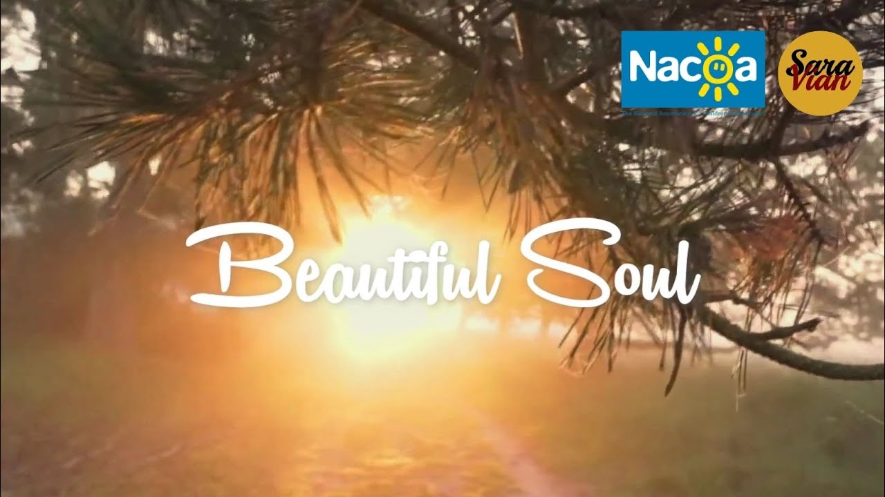 Beautiful Soul - Sara Vian (Official Music Video) - YouTube