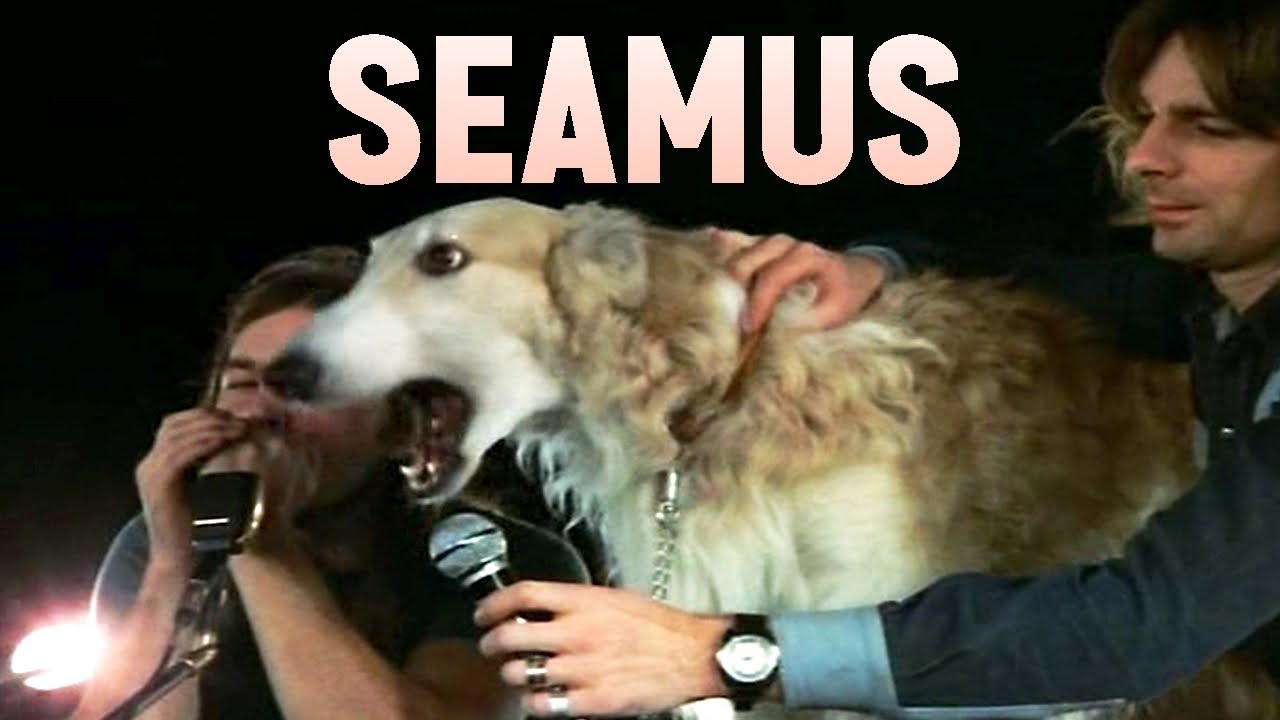 Pink Floyd - Seamus 🐕 Legendado/Tradução PTBR - YouTube