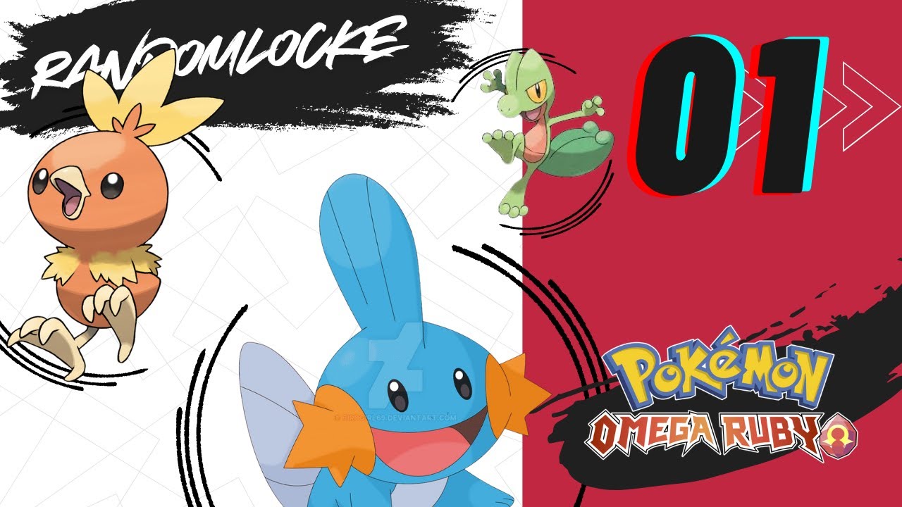 Pokémon Rubí Omega Randomlocke Ep.1 - ¡UN RETO CONMIGO MISMO! - YouTube