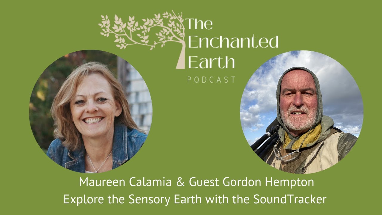 Explore the Sensory Earth with SoundTracker Gordon Hempton | Enchanted ...