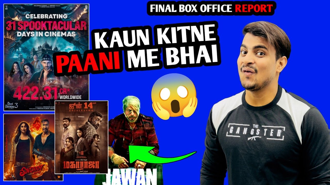 Singham Again And Bhool Bhulaiyaa 3 Final Collection | Maharaja China ...