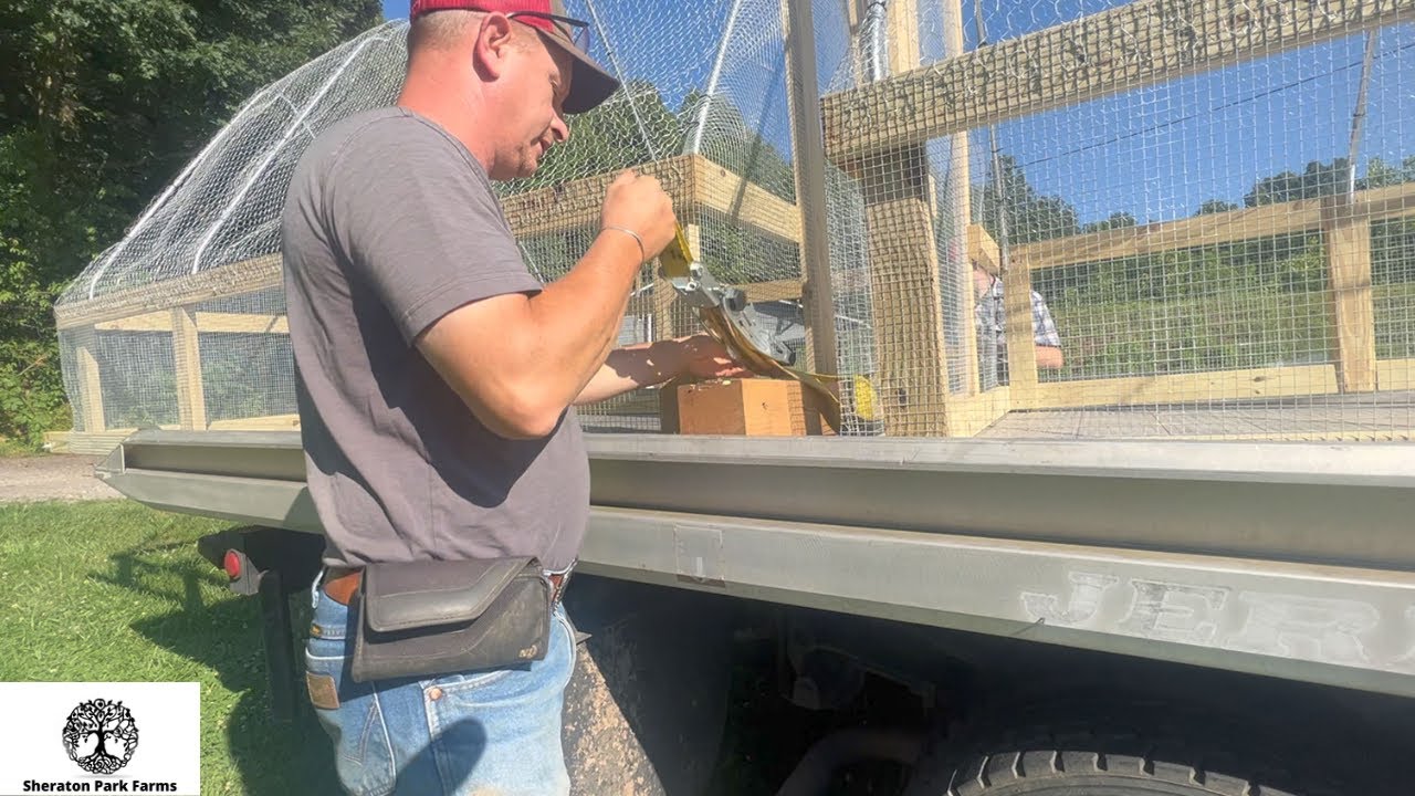 Expanding For MORE Pastured Poultry - Adding Suscovich Chicken Tractors ...