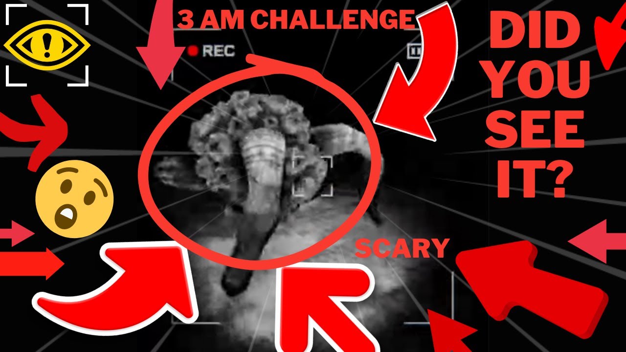 Content Warning: 3 AM SCARY MONSTER CHALLENGE (GONE WRONG) - YouTube