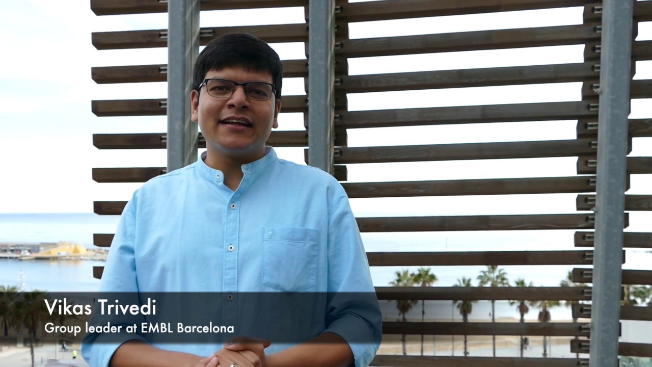 Vikas Trivedi EMBL Barcelona - YouTube
