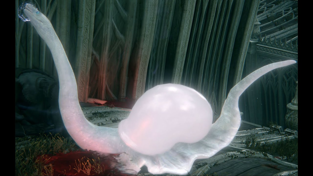 Godskin Apostle & Noble and Spiritcaller Snail in the Spiritcaller's ...