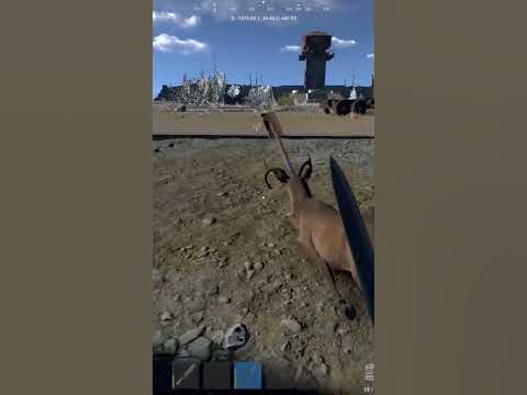 how god made unicorns #rust - YouTube