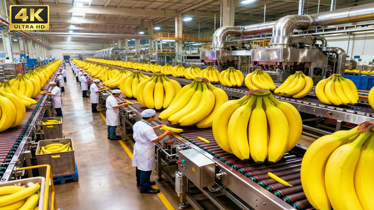 Inside a banana bread factory: An incredible automated production ...