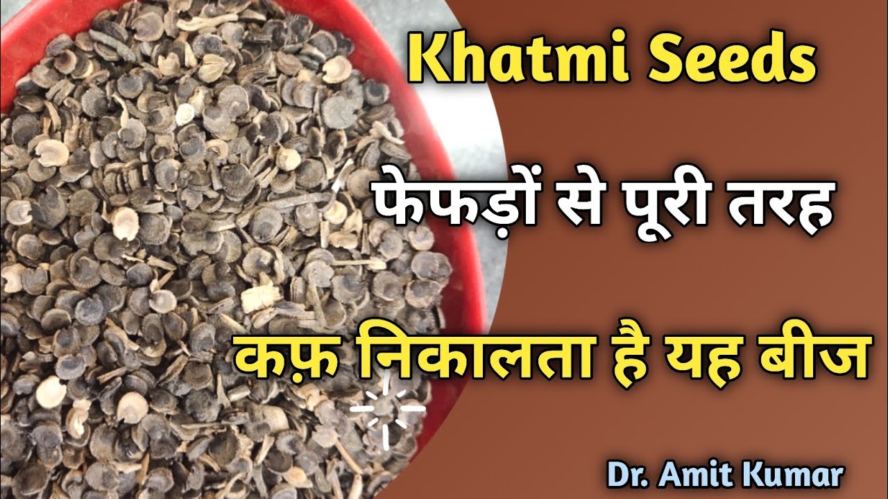 Khatmi Seeds | Khatmi Beej Kin Kin Bimariyon Mein Faydemand ! - YouTube