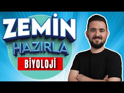 Biyoloji Zemin Hazırla 2026