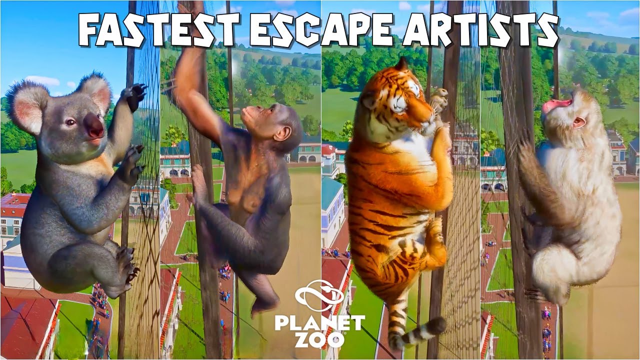 Siberian Tiger, Bonobo, Gorilla, Koala, Japanese Macaque | Planet Zoo ...