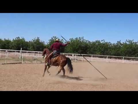 The Garrocha - YouTube