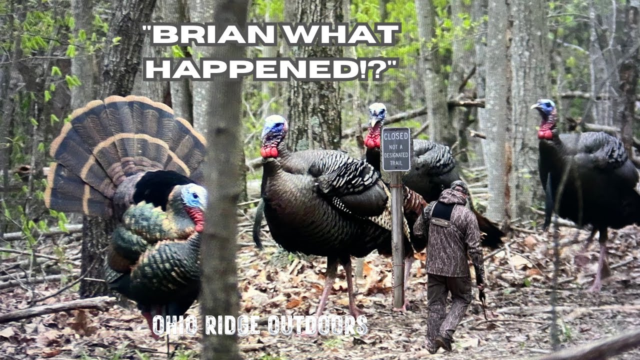 Don't miss this Ohio turkey hunt! Brian comes from California to hunt ...