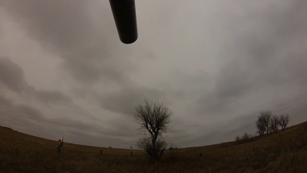 Hunting with Ryan Sauter 110317 01 - YouTube