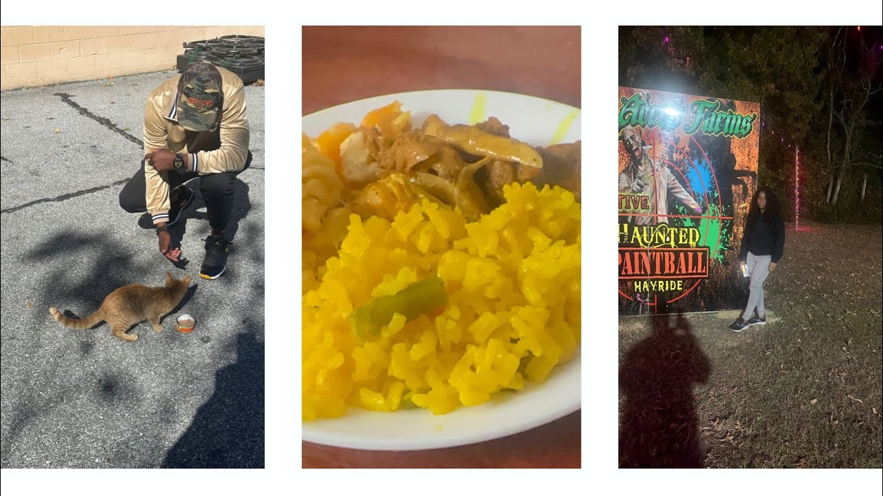 Just another day helping out with the stray/Making Reggae rice and ...