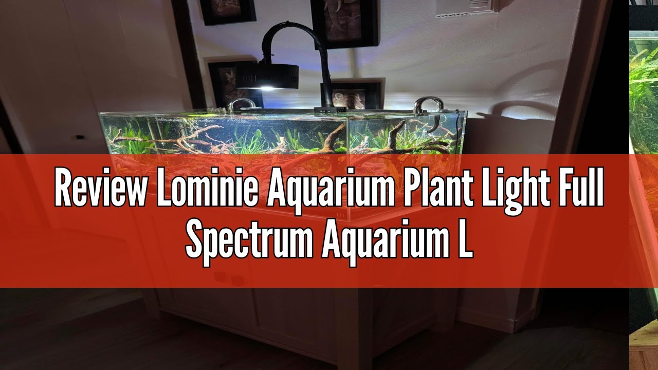 Review Lominie Aquarium Plant Light Full Spectrum Aquarium LED Light ...