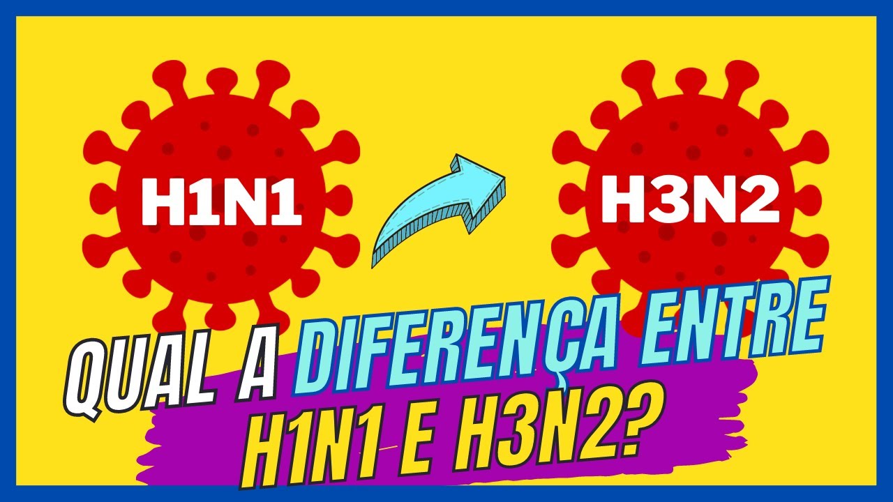 H3N2 E H1N1: QUAL A DIFERENÇA ENTRE H1N1 E H3N2? - YouTube