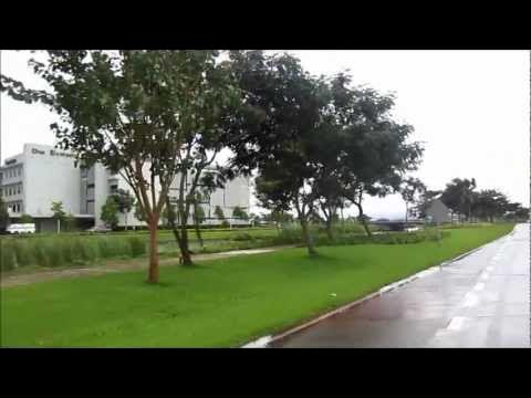 Tree Planting @ Nuvali - BSTM H1T - YouTube