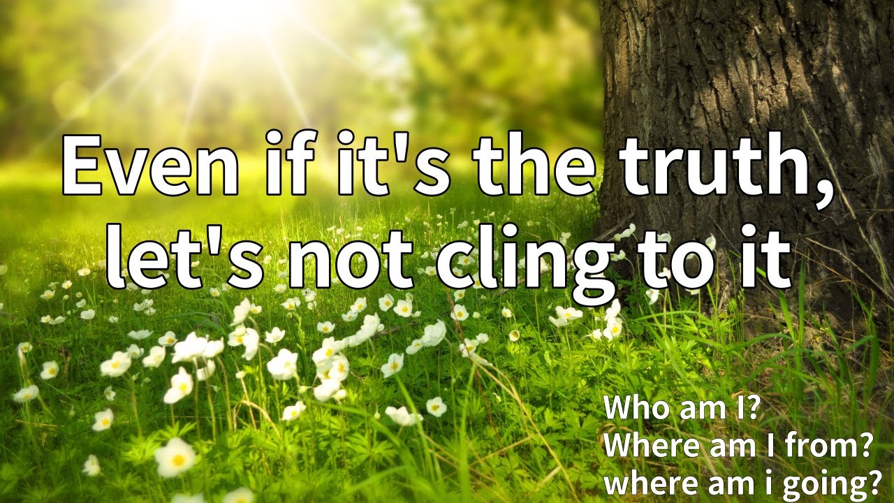 25. Even if it's the truth, let's not cling to it - YouTube