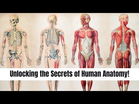 Unlocking the Secrets of Human Anatomy! || Mind Musings #mbbs #neet # ...