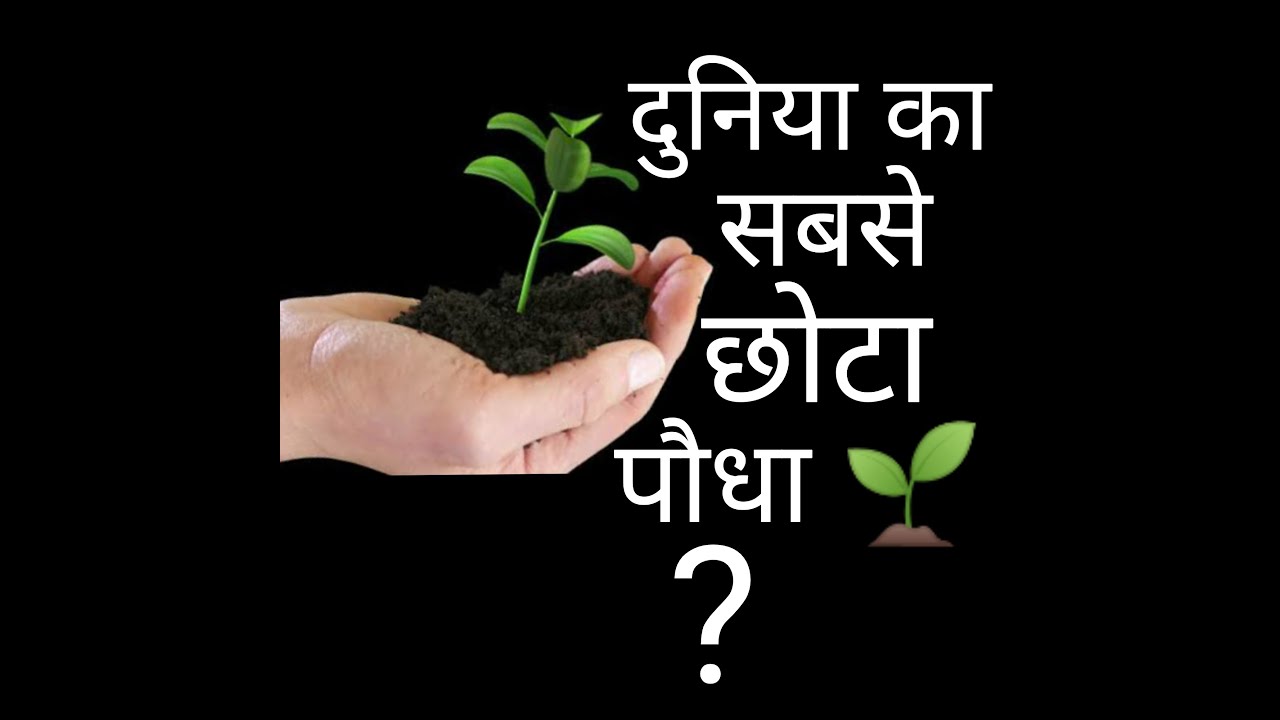 Unknown Amazing Facts Part 2 YouTube unknown-amazing-facts-part-2-youtube
