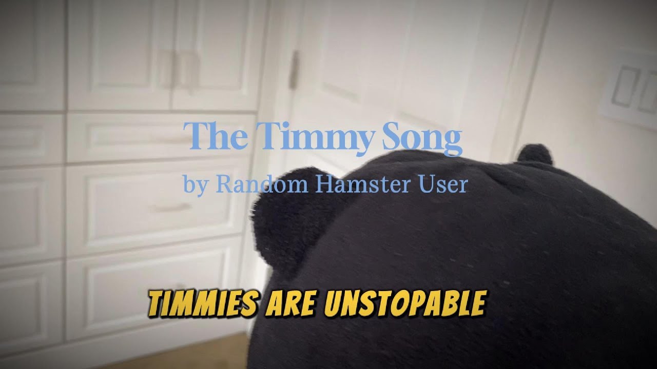 The Timmy Song - YouTube