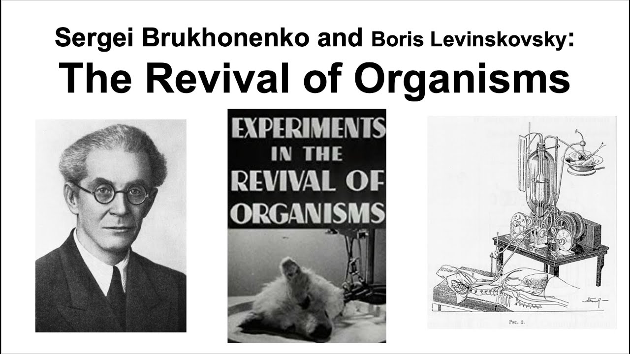 Revival of Organisms - YouTube