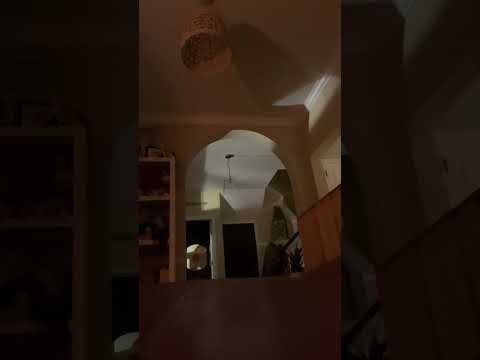 A Magical Surprise - YouTube