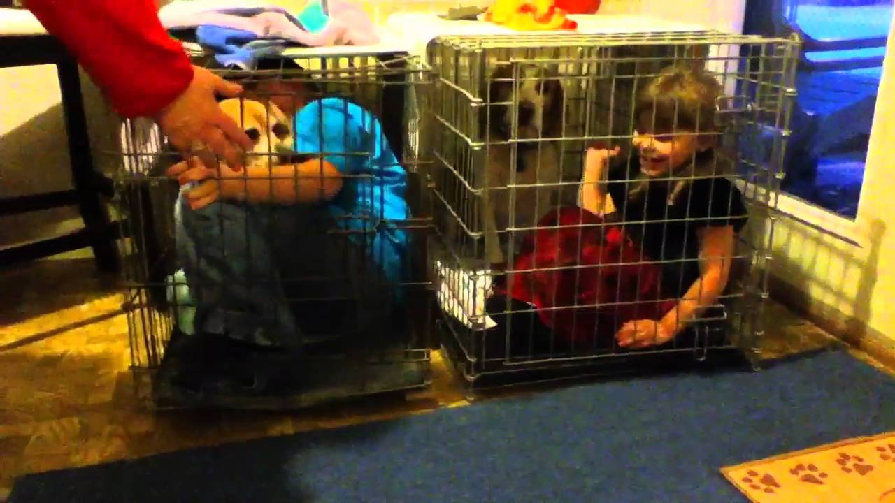 Kids in cages - YouTube