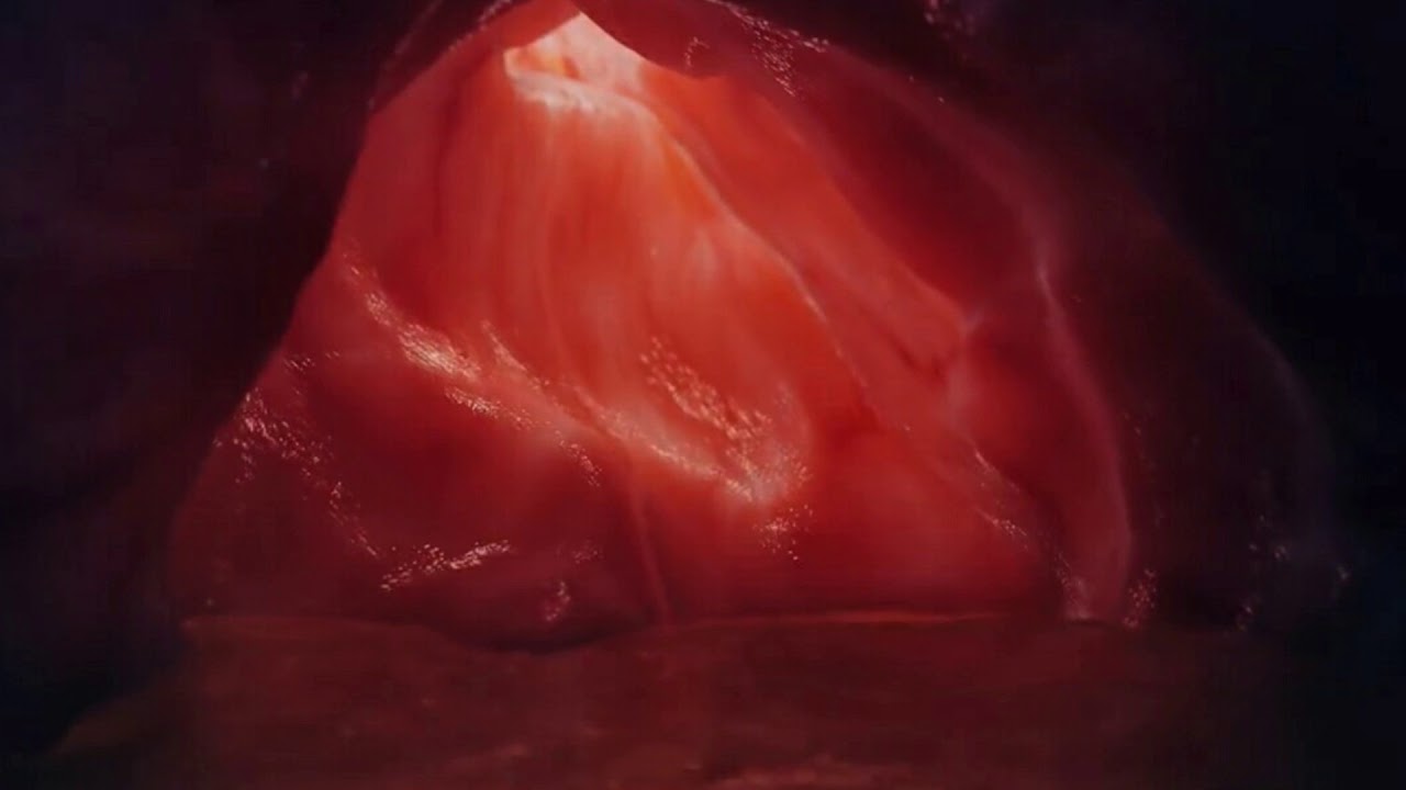 Cake Inferno's Zoe digesting you - YouTube