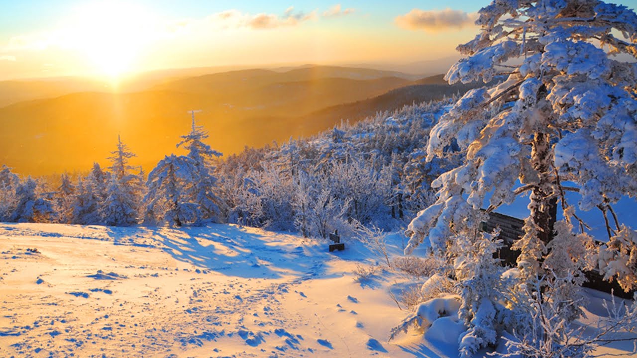 🗻Winter Snow Forest Relaxing Piano Music - Soothing Calming Sleep Music ...