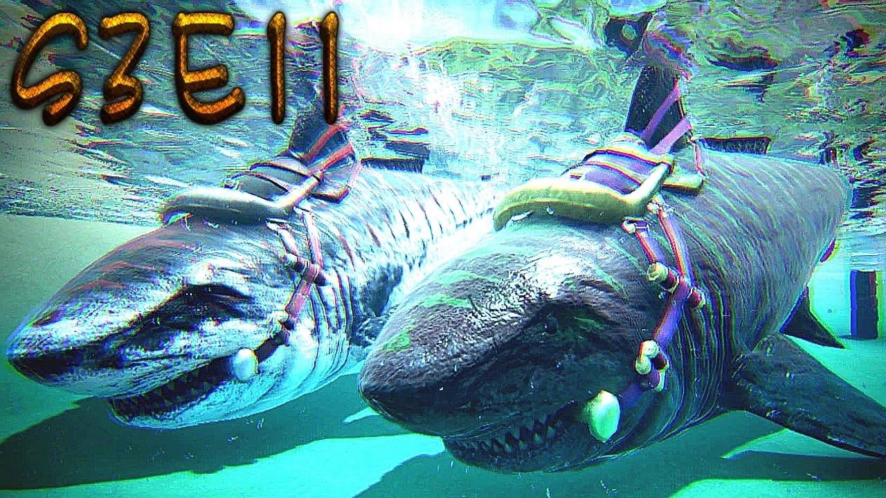 WATER PEN AND MEGALODONS Ark Survival Evolved S3E11 - YouTube