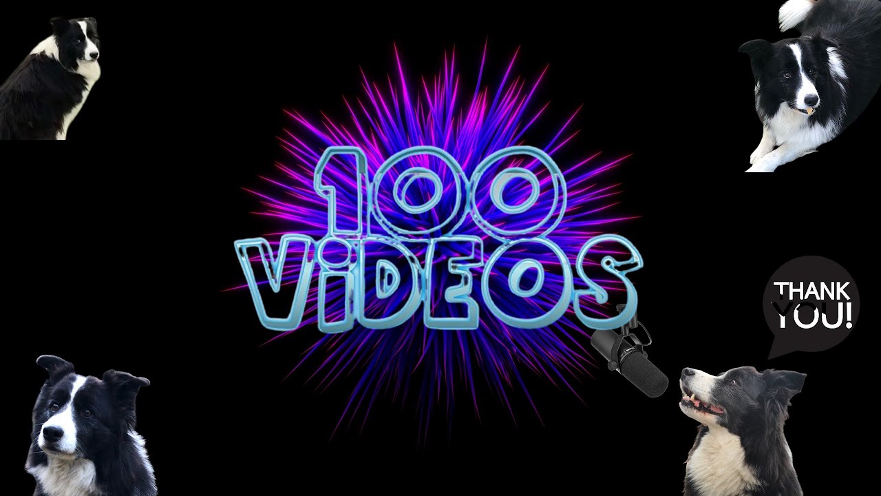 100 Videos Special | George Best Dog #special - YouTube