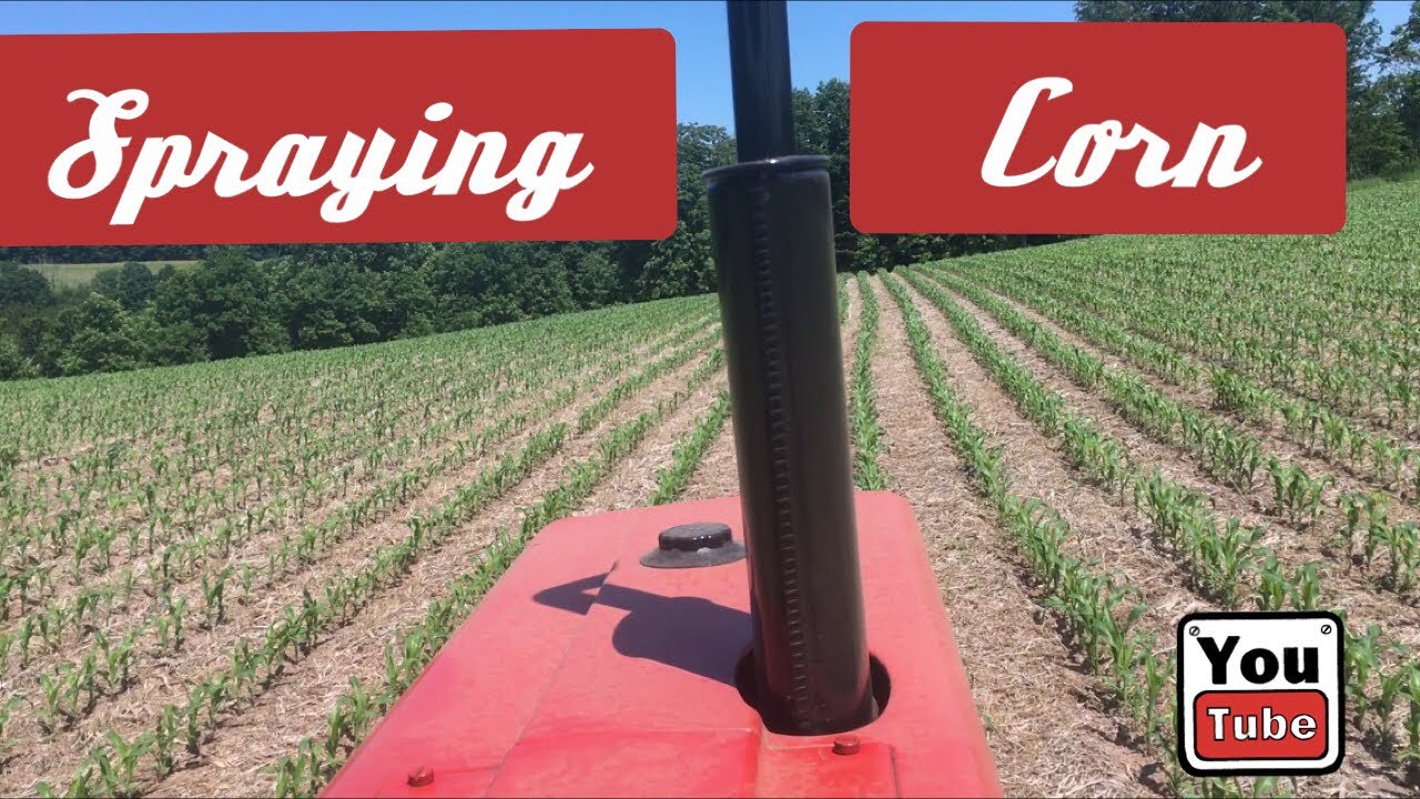 Spraying The 2019 Corn Crop - YouTube