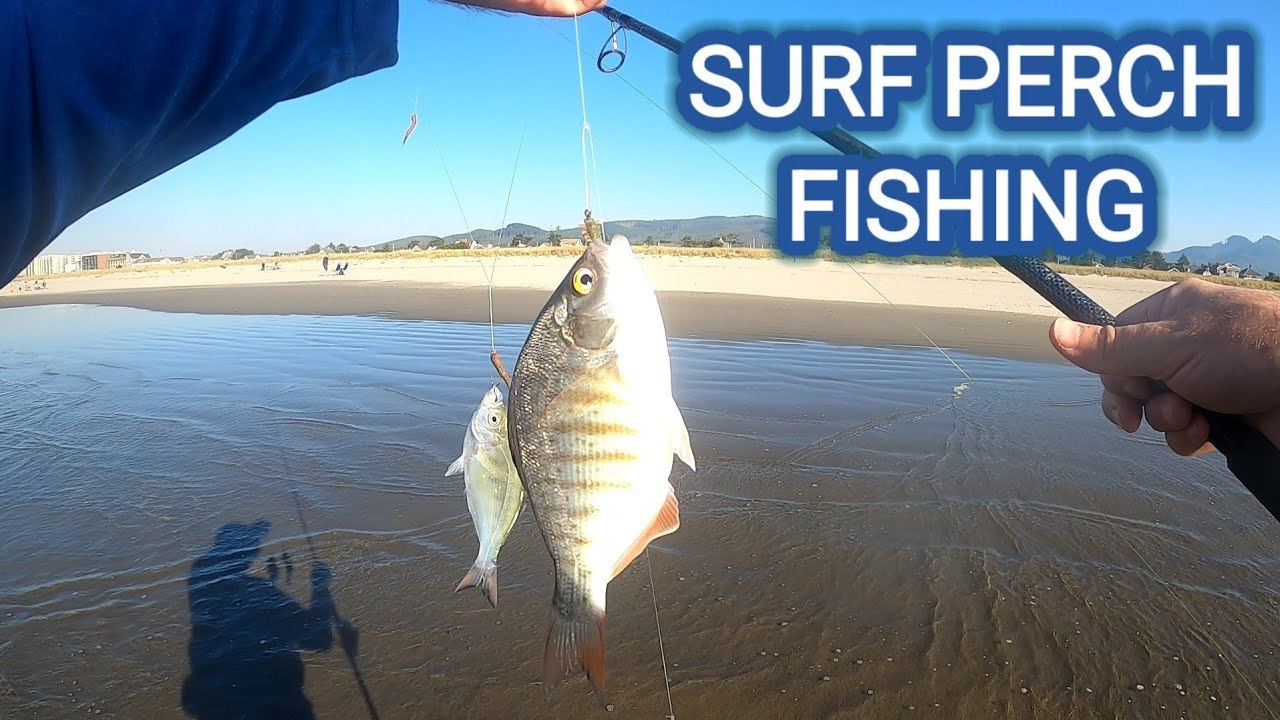 SURF PERCH FISHING & SET UP For Beginners ** SEASIDE, OREGON - YouTube