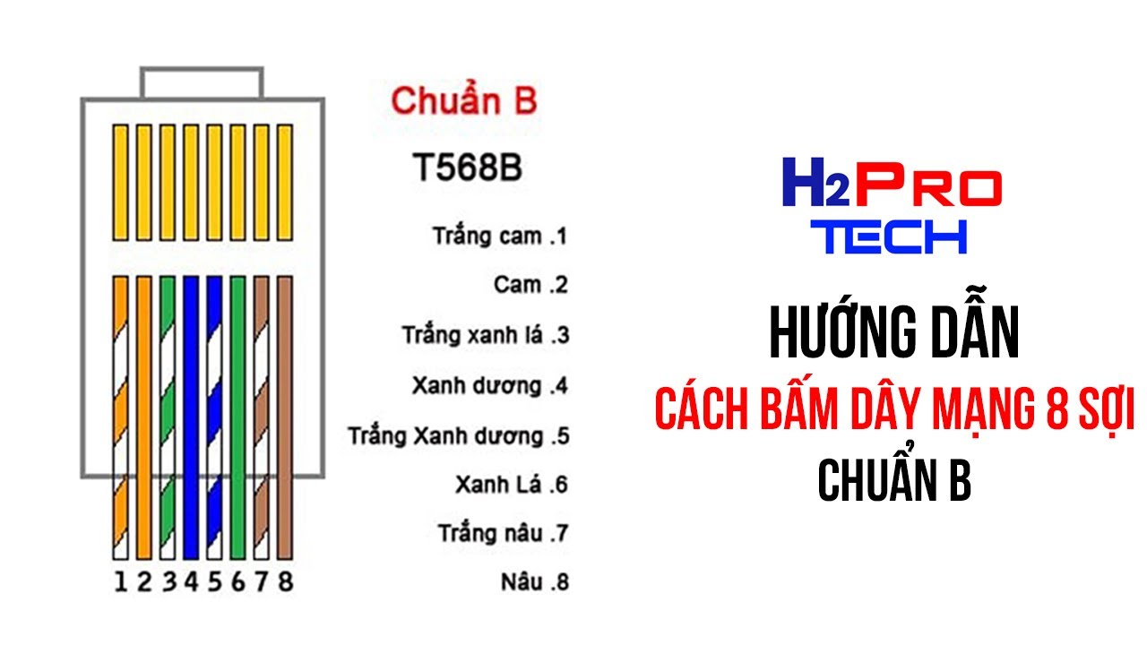 Hướng dẫn cách bấm dây mạng 8 sợi chuẩn B, cách bấm đầu dây mạng ...