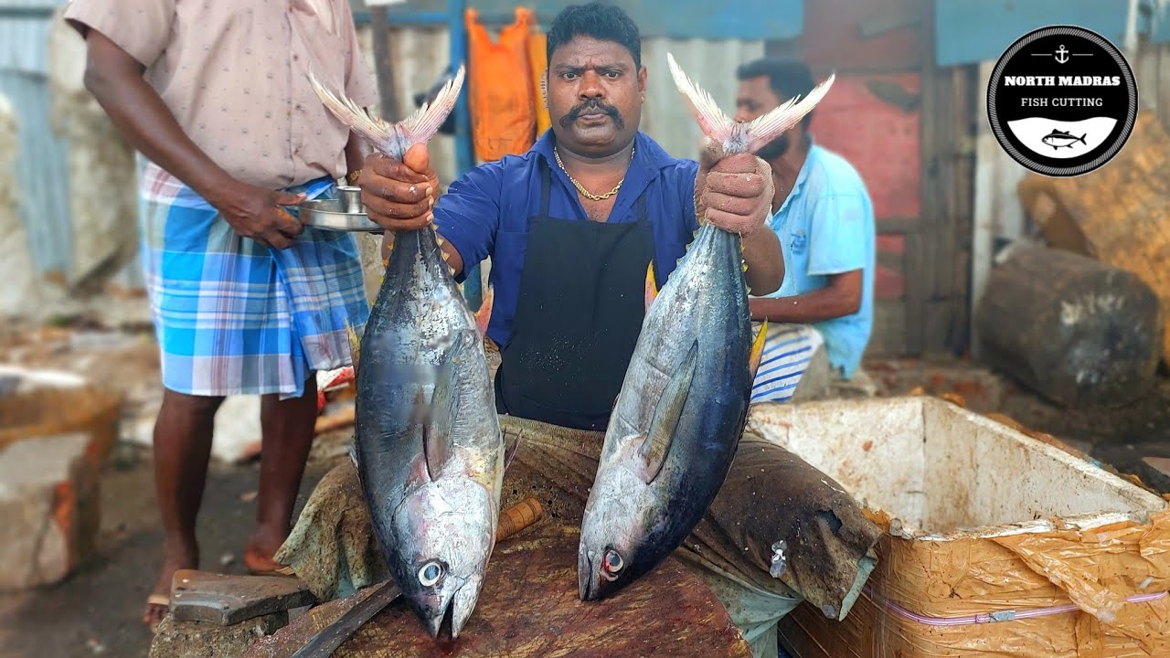 🔥Yellow Tuna Fish|Kasimedu Speed Selvam |Fish Cutting Skills Video # ...