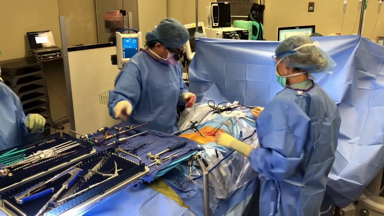 Expandable cages for collapsed, deformed discs treated with a minimally ...