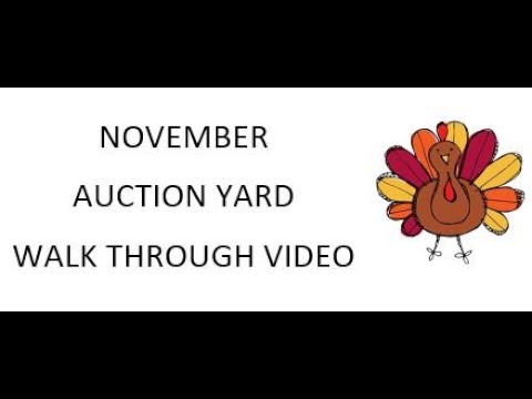 NOVEMBER 2022 AUCTION YARD WALK THROUGH - YouTube