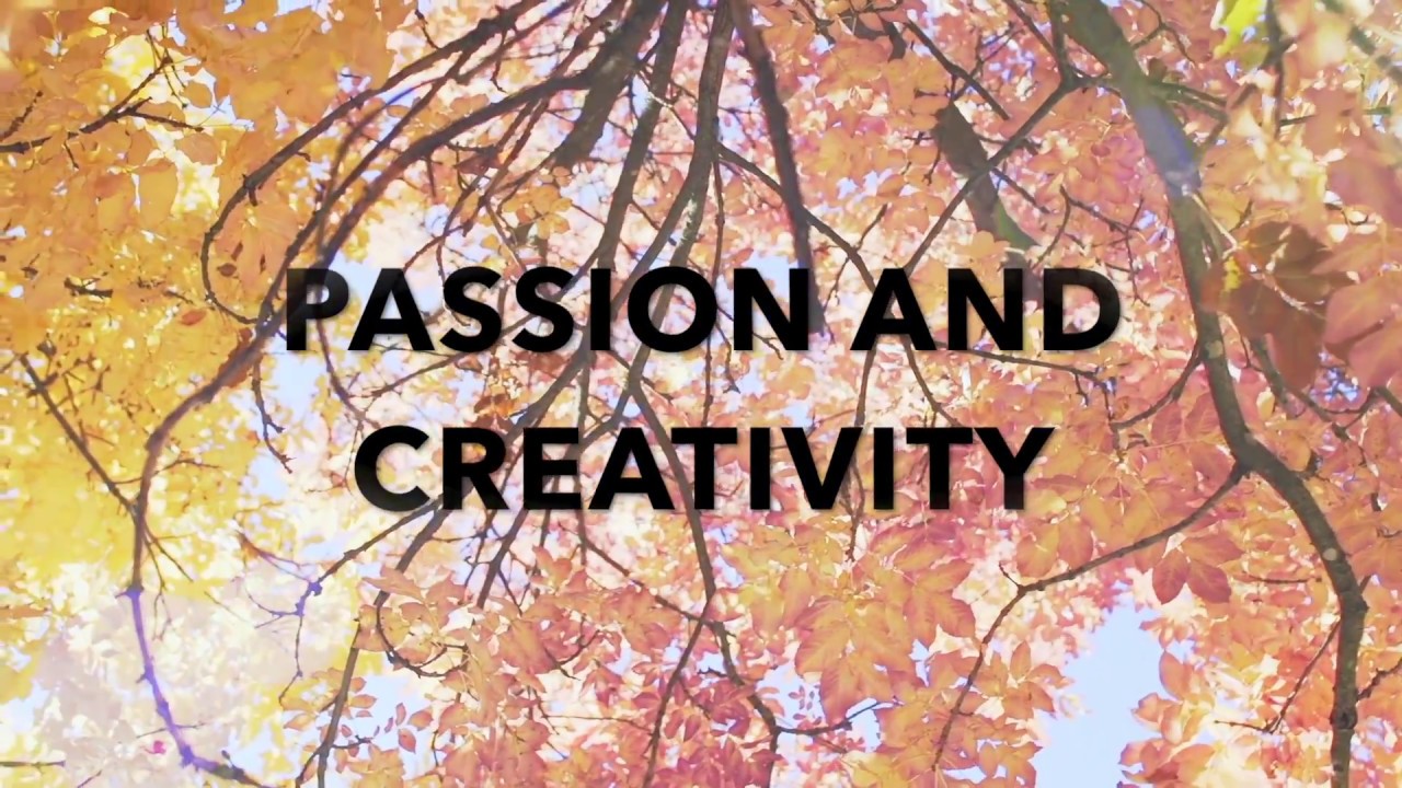 Positive Psychology - Passion and Creativity - YouTube
