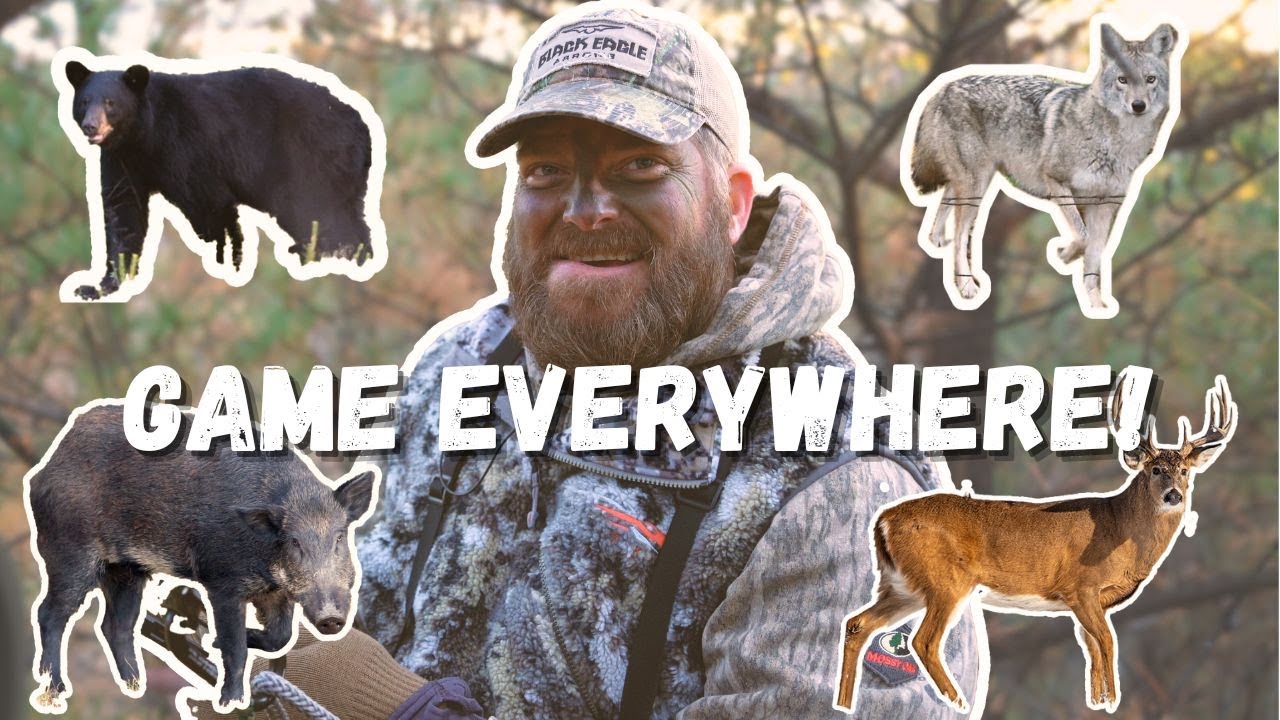 BUCKS, BEARS, COYOTES & HOGS - Deer Hunting in the Appalachian ...